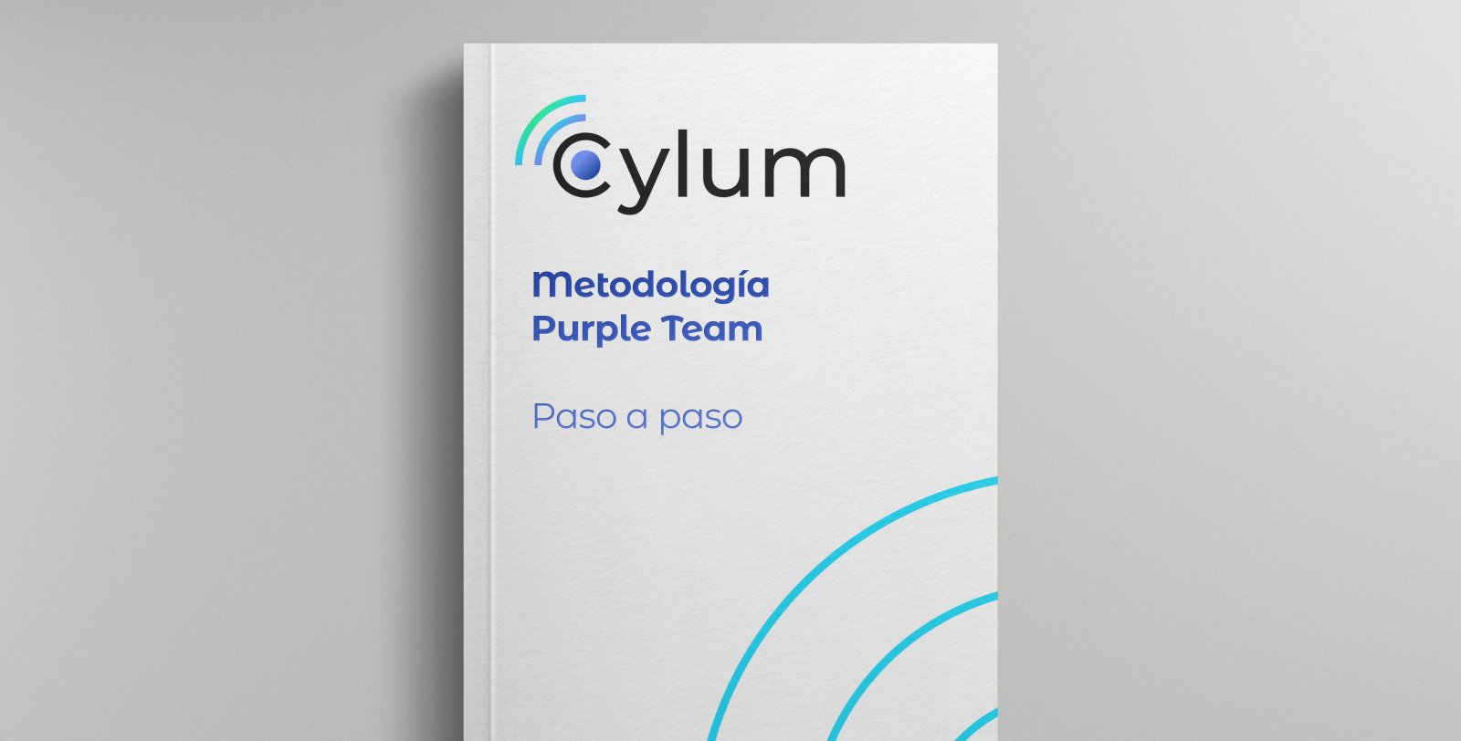 Metodología Purple Team: paso a paso - Cylum